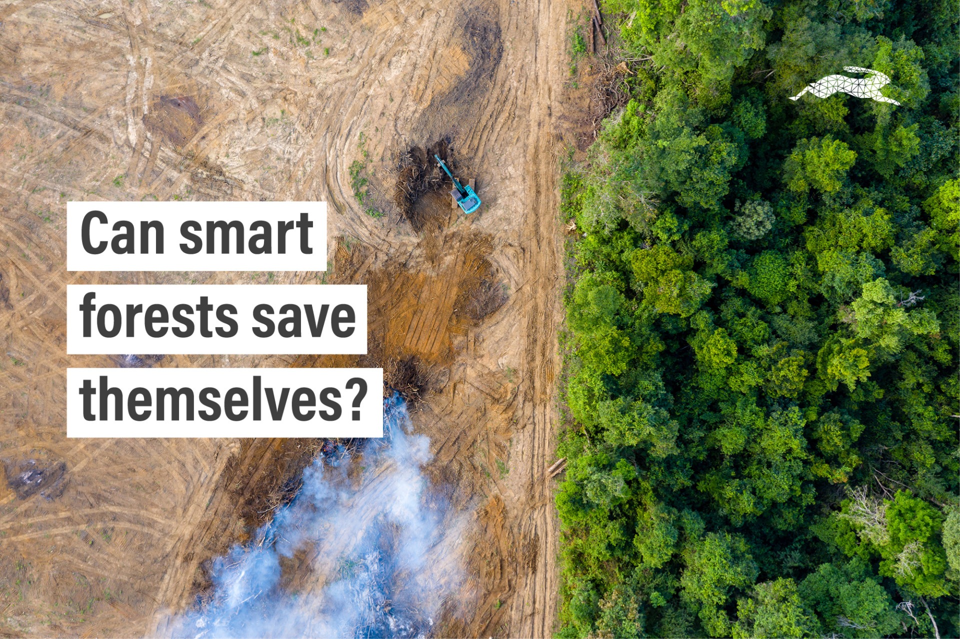 Can smart forests save themselves