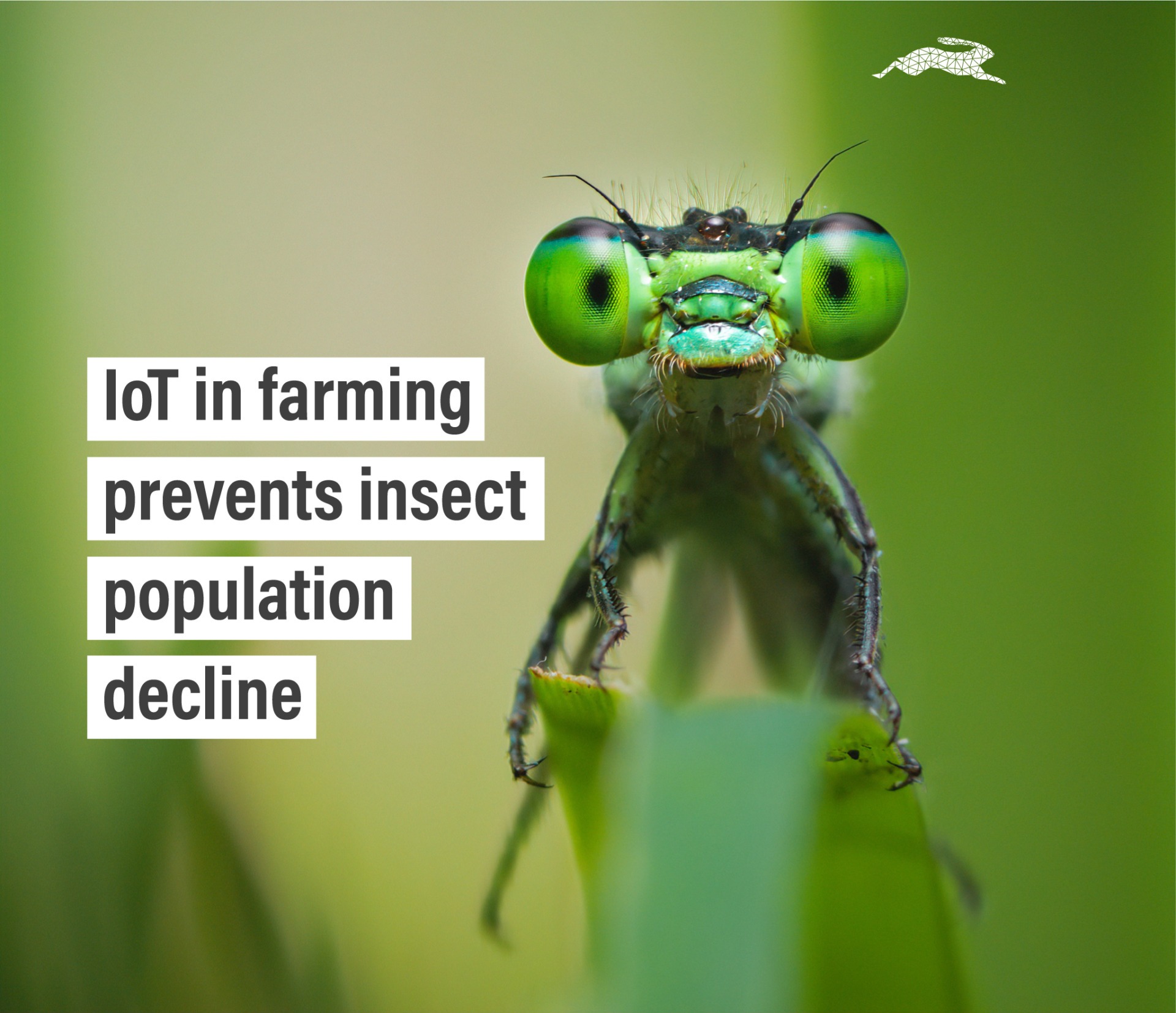 IoT in farming prevents insect population decline